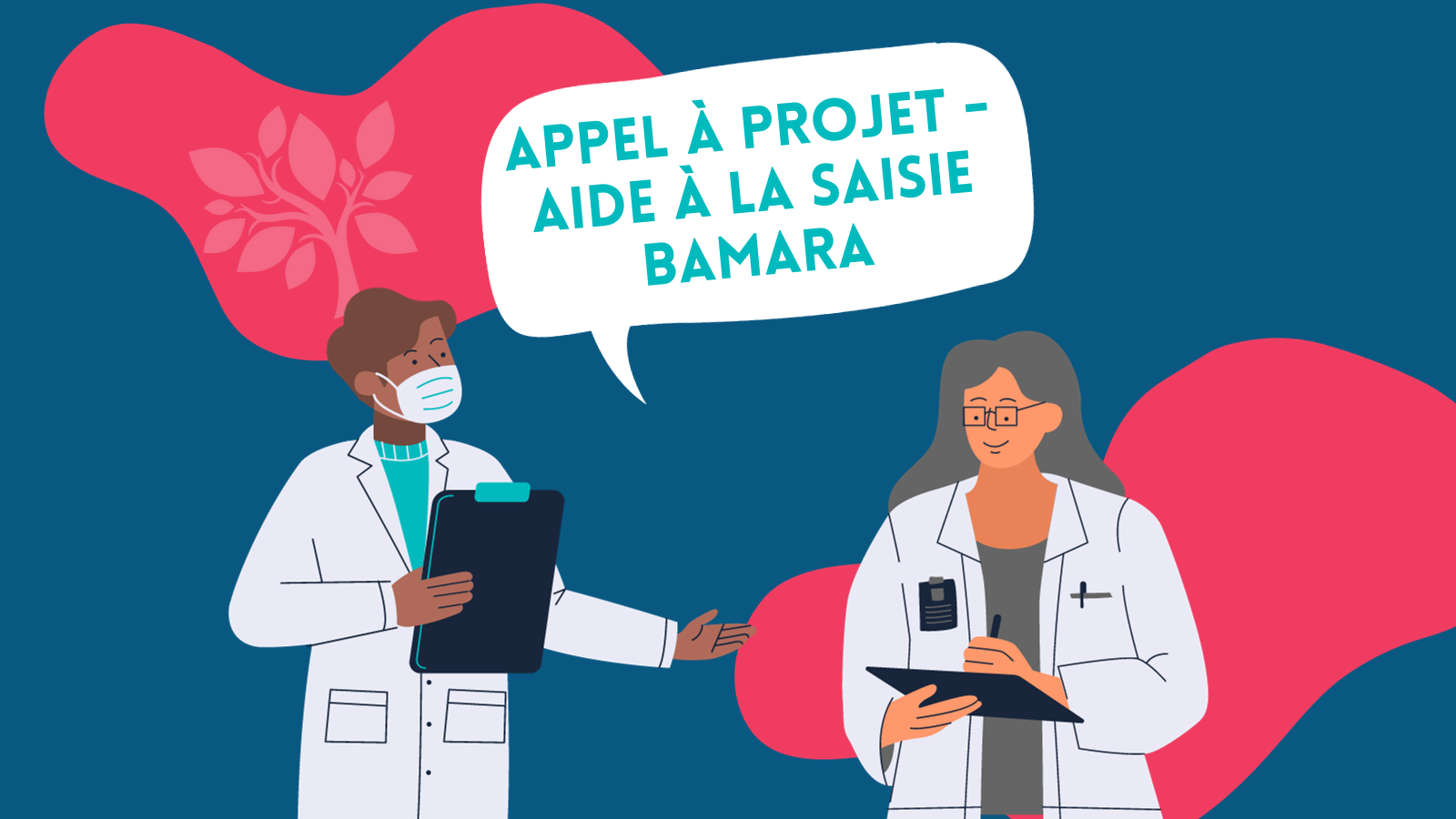 Appel à projets « Aide à l’amélioration de la saisie sur BaMaRa ...